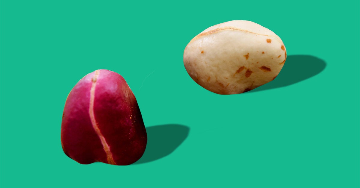 Kola Nut: Benefits, Uses, Risks, and More