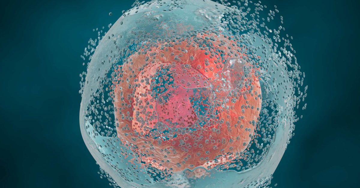 MS: New findings may 'prevent future loss of brain cells'