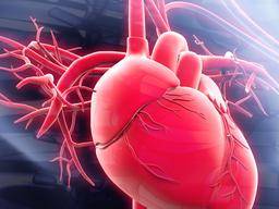 Endocarditis: Symptoms, causes, and treatment