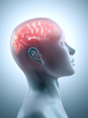 Understanding the Brain of Teenage Boys