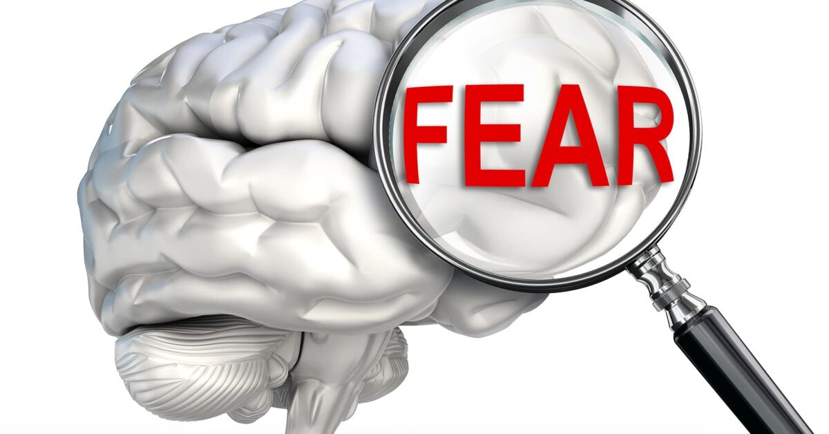Mouse Study: How Fear Turns Into Chronic Anxiety
