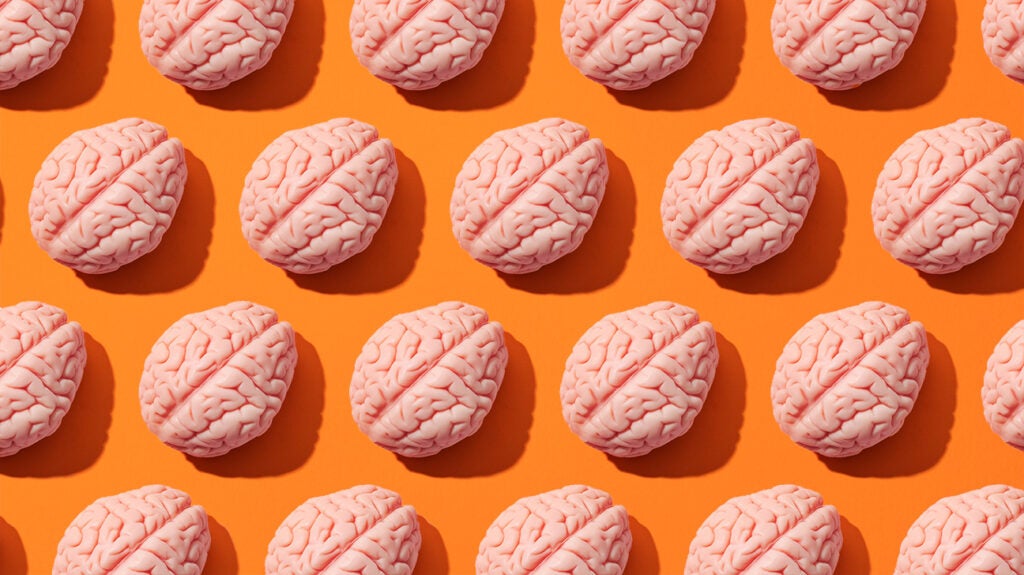 Amygdala Hijack: What It Is and How to Prevent It | Psych Central