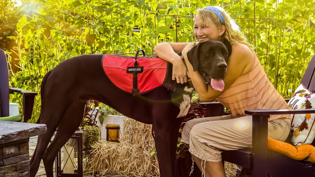 Psychiatric Service Dogs For Bipolar Disorder psychiatric-service-dogs-for-bipolar-disorder