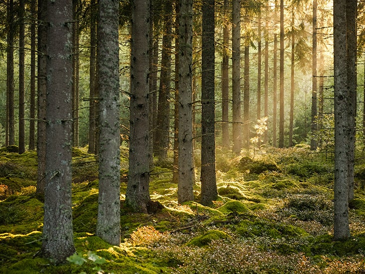 8 Coping Skills For Stressful Situations | Psych Central