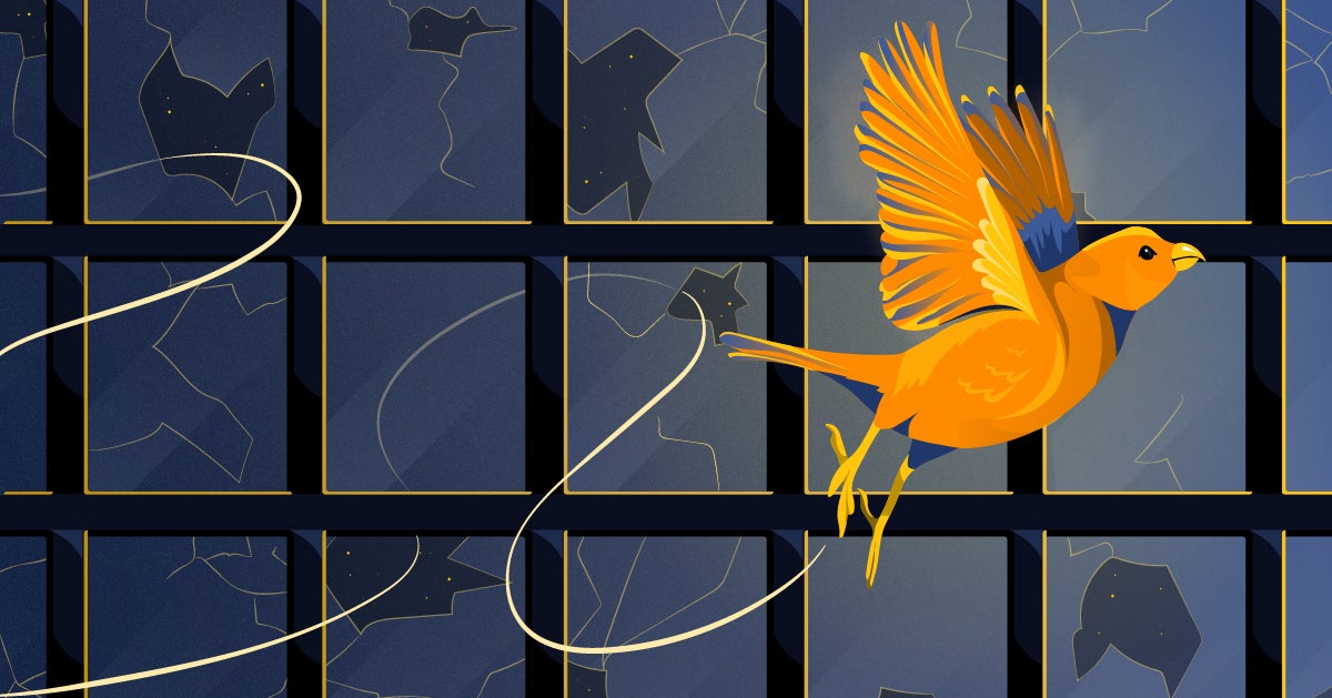 Broken Windows Theory: History, Meaning, and Controversy