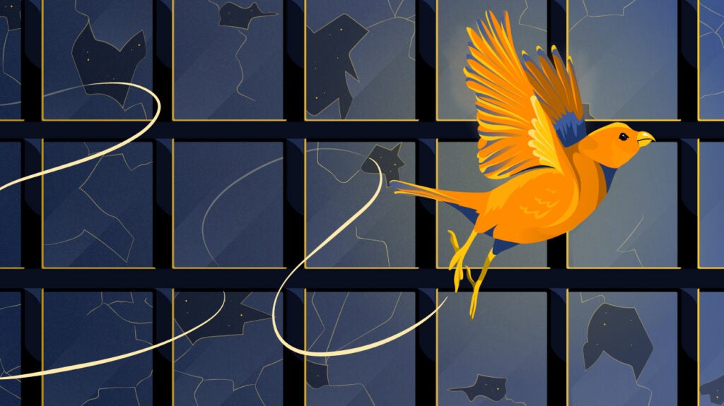 Broken Windows Theory: History, Meaning, and Controversy