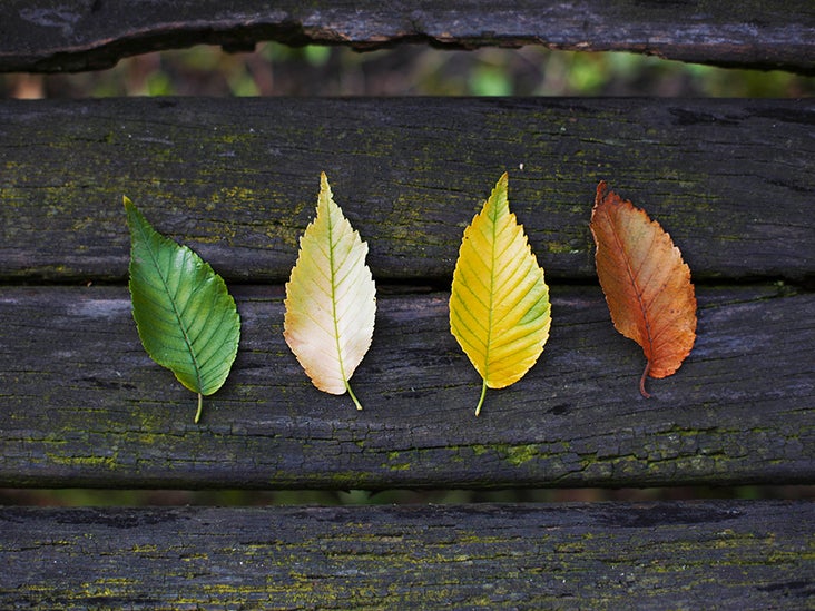 Seasonal Changes and Bipolar Disorder: Are They Connected?