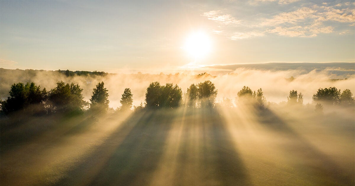 Can Sunlight Help Depression? | Psych Central