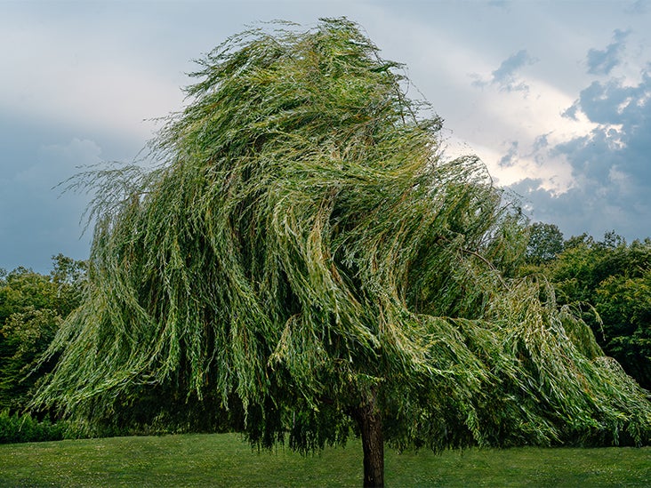 Postural Sway and ADHD: What's the Link? | Psych Central